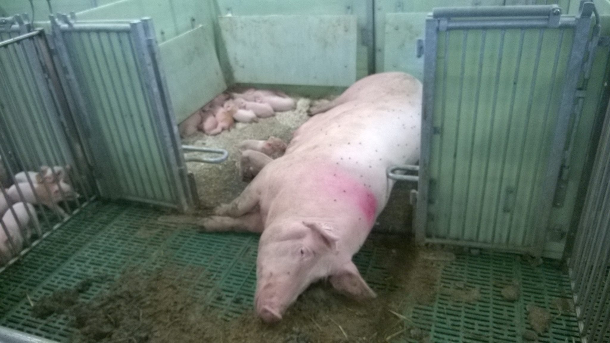 Zero-Confinement Pens