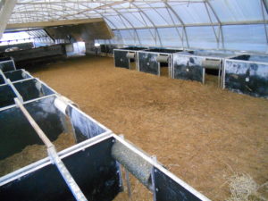 Deep Litter Group System