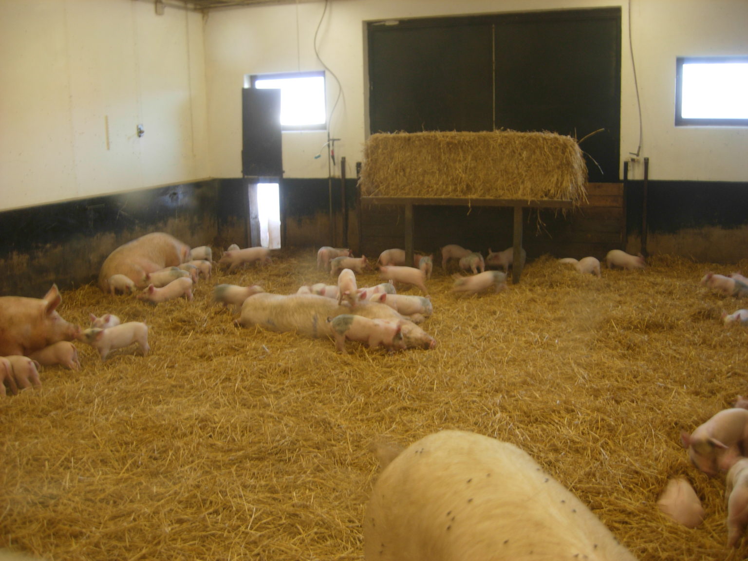 Farrowing Systems