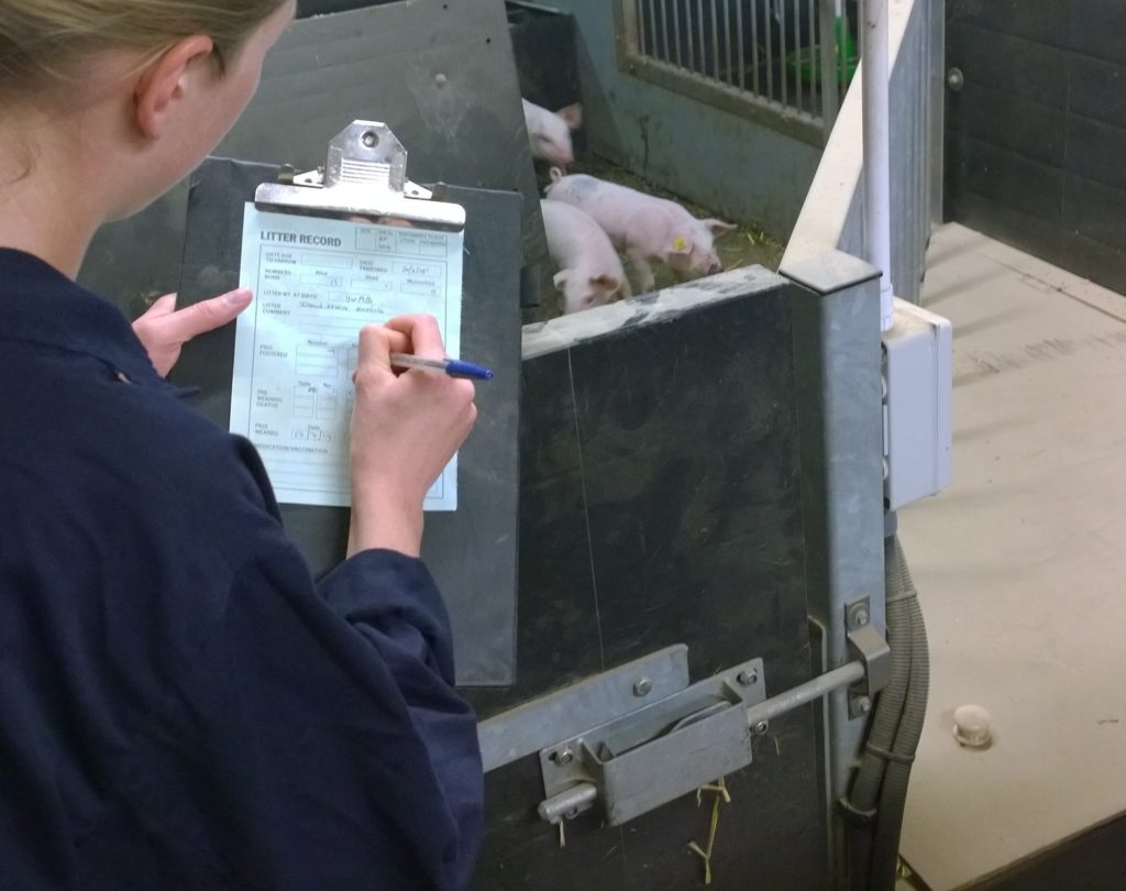 Alternative system trials