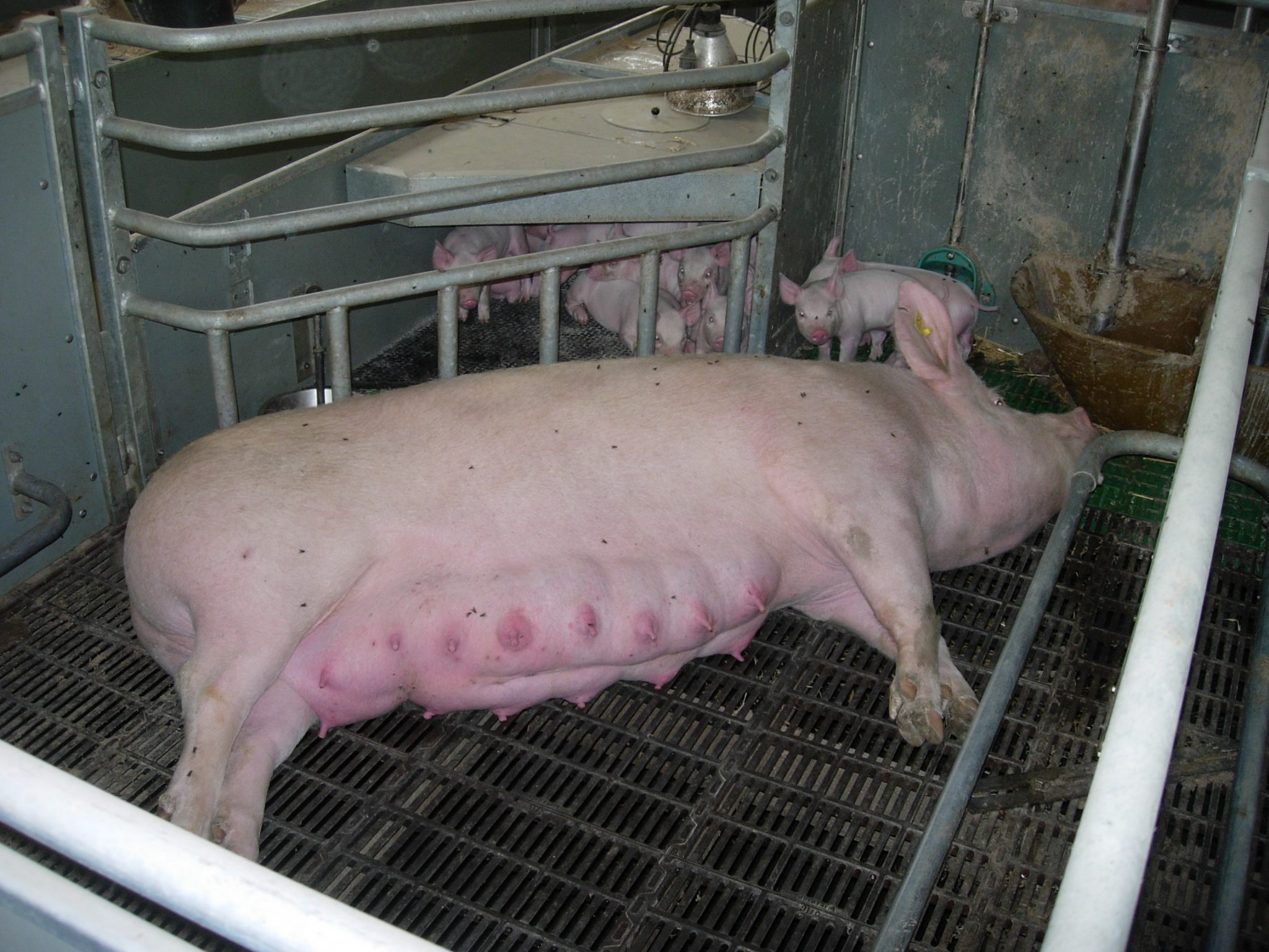 Zero-Confinement Pens