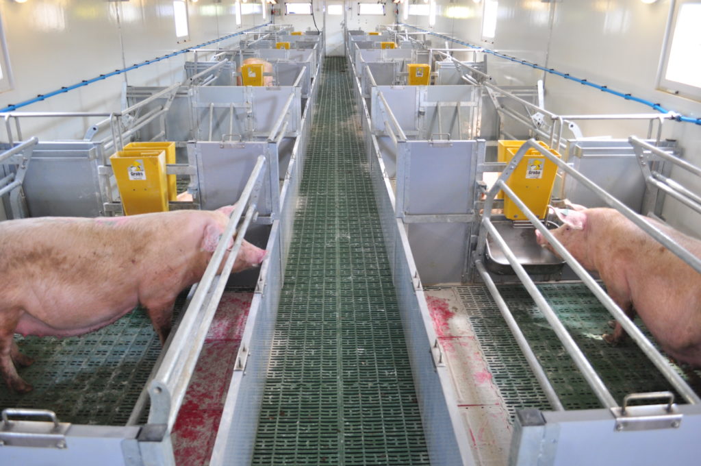 Farrowing Systems