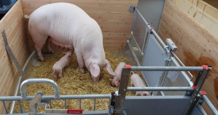 Zero-Confinement Pens